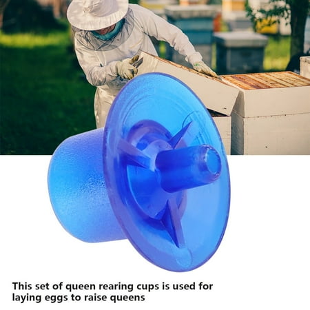 Bee Cups Queen Cell Cups Queen Rearing Cup Beekeeping Cup 50pcs ...