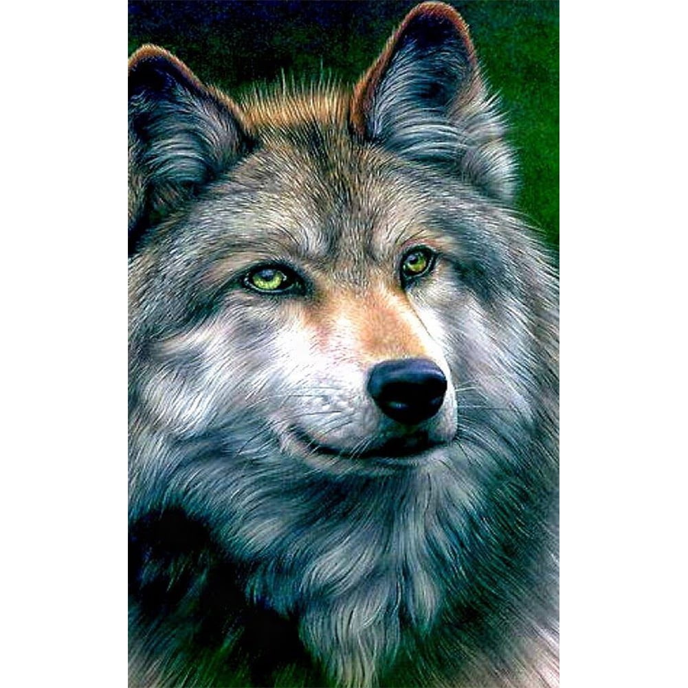 Colorful Wolf Painting