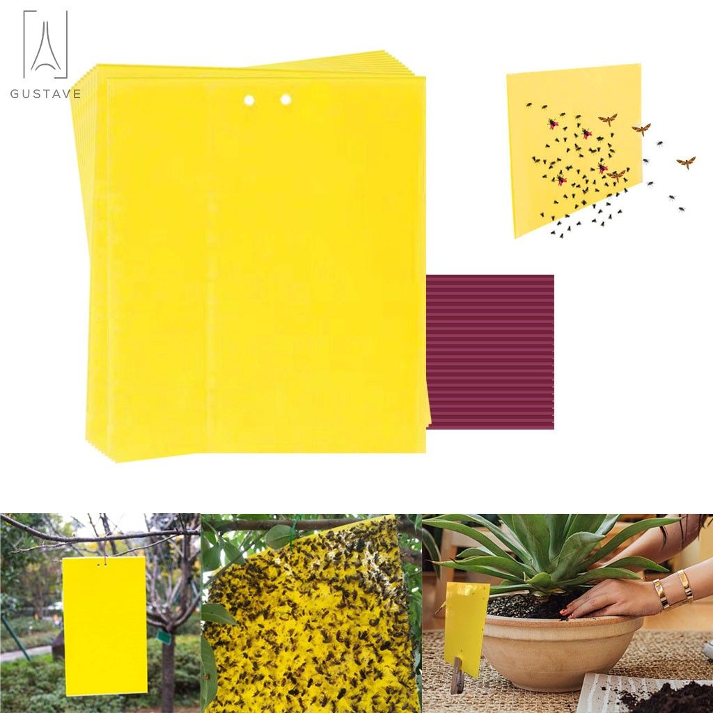 Buy Gustave 10PCS Dual-Sided Yellow Sticky Traps for Flying Plant ...