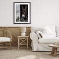 Stupell Industries Gentle Donkey Peering from Barn Black Framed Print ...