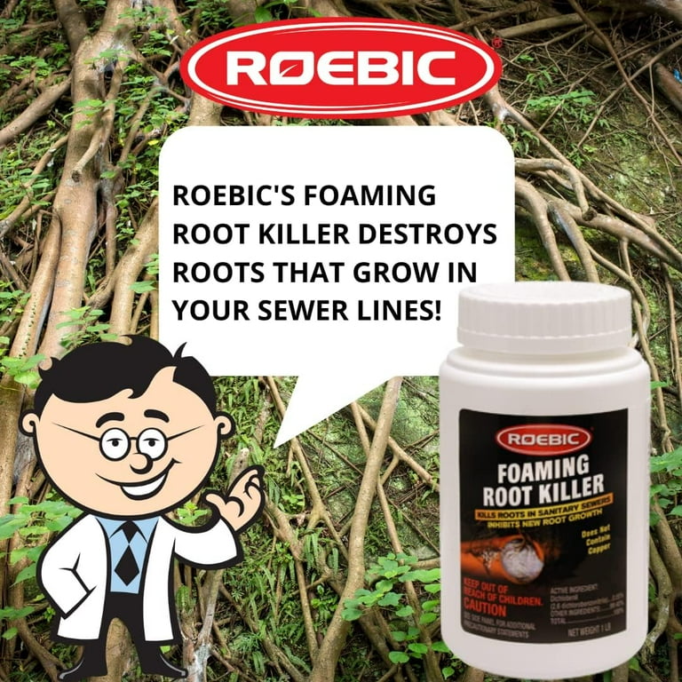 Best Foaming Root Killer Roebic FRK 1LB Foaming Root Killer: Clear