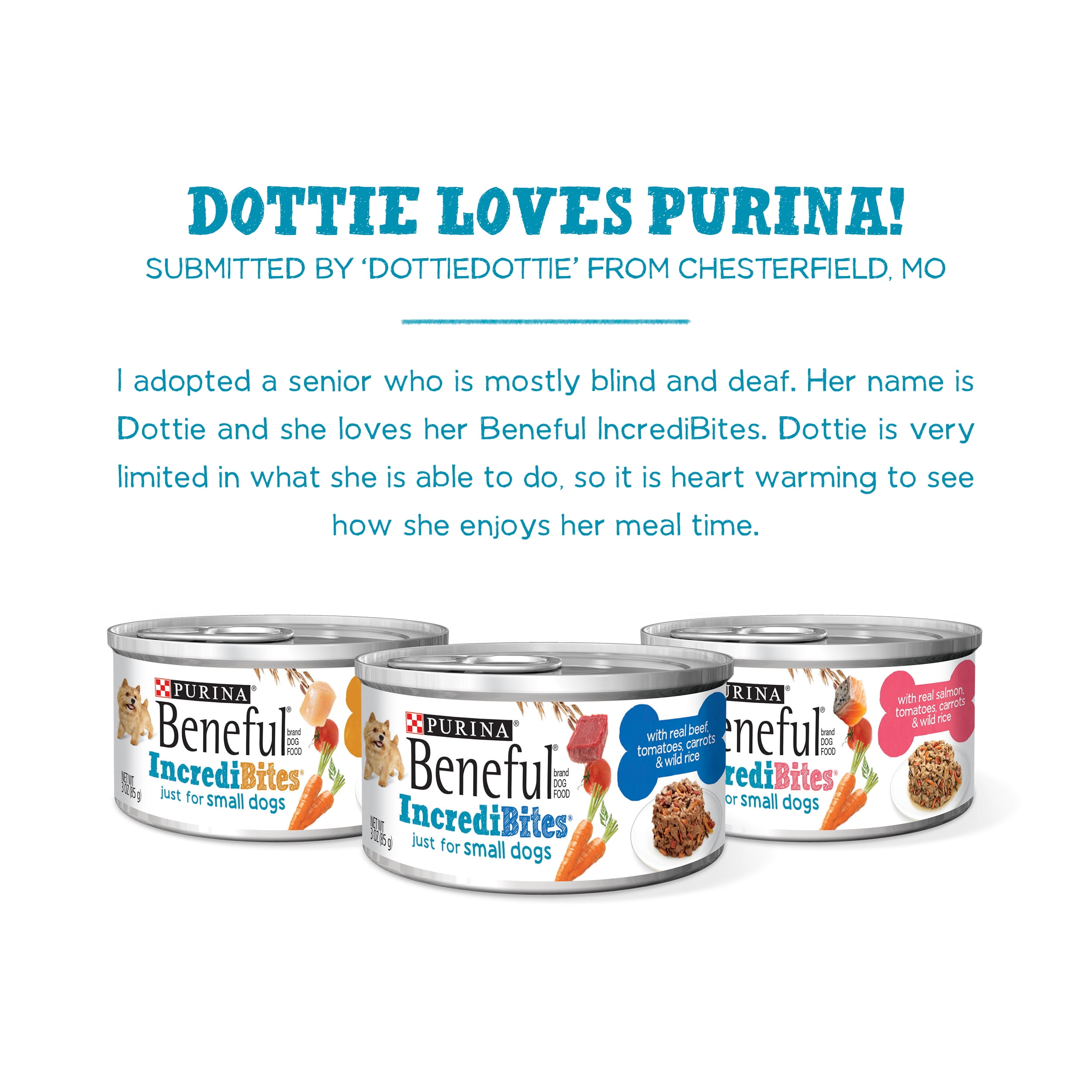 Purina Beneful Incredibites Wet Dog Food for Small Dogs High Protein ...