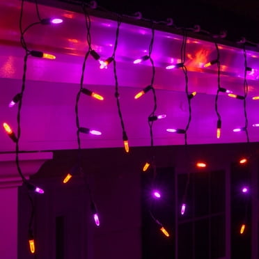 4' x 6' Halloween LED Net Lights, Purple and Orange, Outdoor Decoration ...