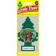 Little Trees Royal Pine Air Freshener, (Pack of 24) - Walmart.com