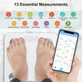 INSMART Scales for Body Weight,Bluetooth Smart Scale with App – Track ...