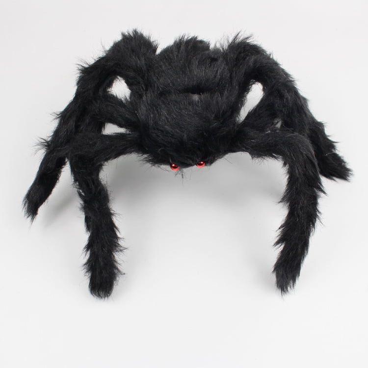 Winged Spider Hoax