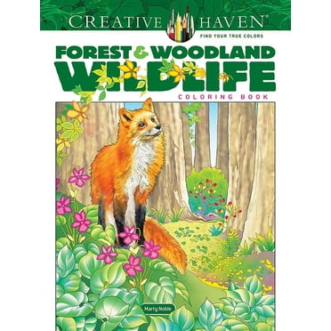 Adult Coloring Books: Nature Creative Haven Joys of Nature Coloring ...