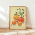 Affixzi Pomegranate Art Print, Vibrant Red and Orange Tones, Botanical ...
