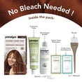 Paradyes No Bleach Cinnamon Brown Glossy Hair Tint - Walmart.com