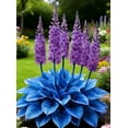 3 PCS - Hosta-Garden Stakes Planting-(hosta for planting ) -Christmas ...