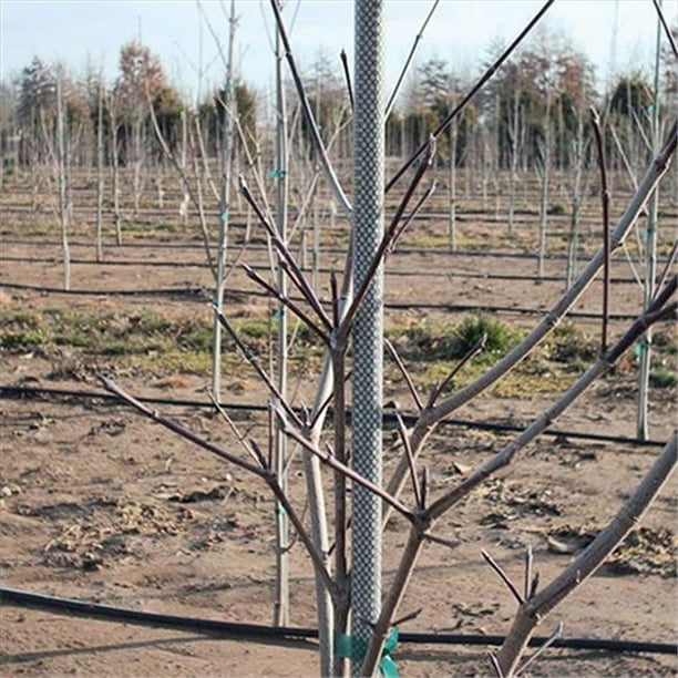 TekSupply 109103 Fiberglass Tree Stake, Fence Post - 0. 50 in x 6 ft ...