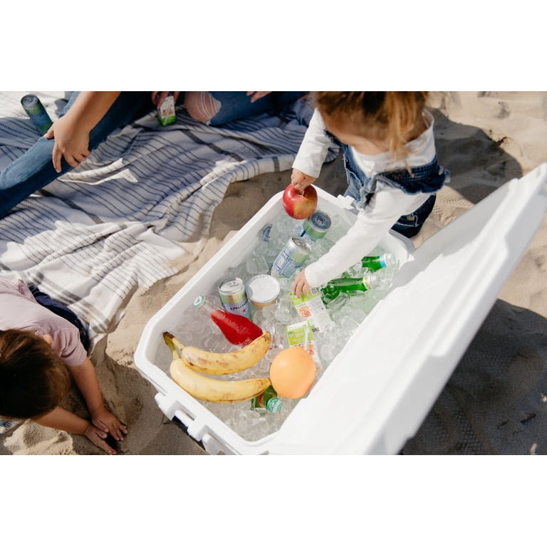 Igloo Ice Chest Tray