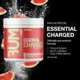 Raw Nutrition Essential CHARGED Pre-Workout Powder, Sour Watermelon, 25 ...