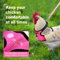 Adhafera Walking Chicken Harness with Leash, Upgraded Double Adjustment ...