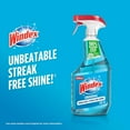 Windex® Glass & Window Cleaner, Original Blue, Spray Bottle, 23 fl oz ...