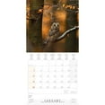 Tushita Publishing, Magic Owls 2025 Wall Calendar - Walmart.com