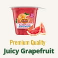 Del Monte Unsweetened Red Grapefruit, Fresh Refrigerated Fruit Cup, 7 ...