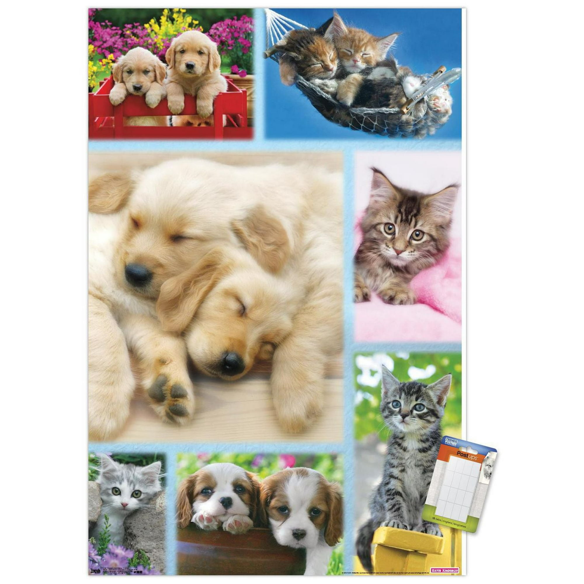 Click here for Trends International Keith Kimberlin - Puppies And... prices