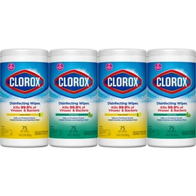 SS- Clorox Bleach Pens, 4 Pack Pens - Walmart.com