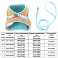 Cat Harness and Leash, Escape-Proof Cat Harness Set, Adjustable Step-in ...
