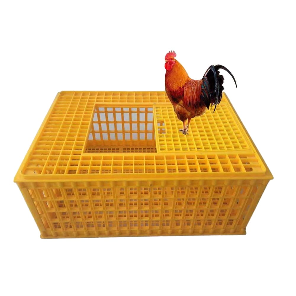 INTSUPERMAI Poultry Transport Crate Plastic Transport Cage Collapsible ...