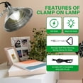 Simple Deluxe Clamp Lamp Light with 8.5 Inch Adjustable Aluminum ...