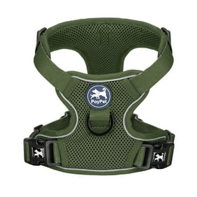 Bergan Dog Travel Harness, Small, Blue - Walmart.com