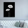 Epic Graffiti 'Pair of Daisies' by Lori Deiter, Canvas Wall Art, 40"x54 ...