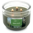 Mainstays Alpine Forest, 3-Wick Jar Candle, 11.5oz - Walmart.com