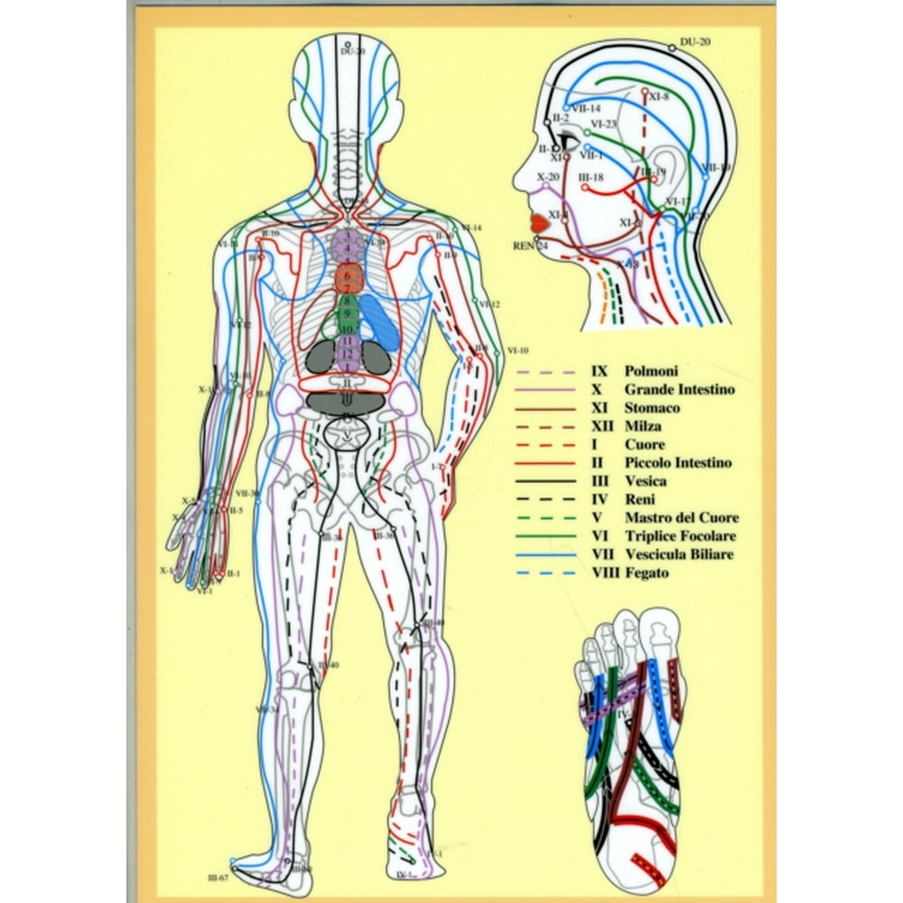 Masunaga Zen Shiatsu Ketsu (Poster) - Walmart.com - Walmart.com