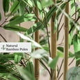 Maia Shop 6ft Artificial Bamboo Tree, Fake Plants for Home Decor ...