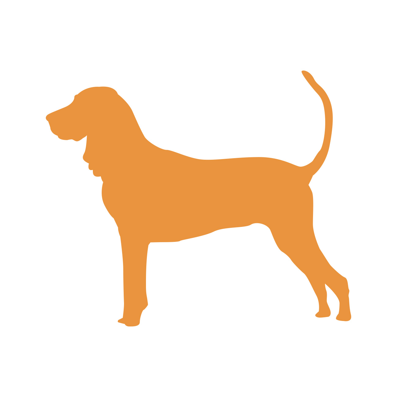 American Black and Tan Coonhound Sticker Decal Die Cut - Self Adhesive ...