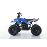 Tao Motor 40cc Gas-Powered Quad Wheeler Mini ATV for Kids - Pull Start ...