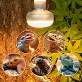 ECOSUB Reptile Heat Lamp E26, 2Pcs, 75W, Basking Light Bulb for Bearded ...