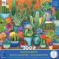 Ceaco 300-Piece Succulents Cactus Pots Jigsaw Puzzle - Walmart.com
