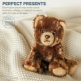 Bearington Collection Lil' Grizby Plush Brown Grizzly Bear Stuffed ...