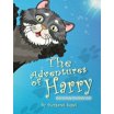 Magic Kitten: Magic Kitten: Books 1-2 (Paperback) - Walmart.com