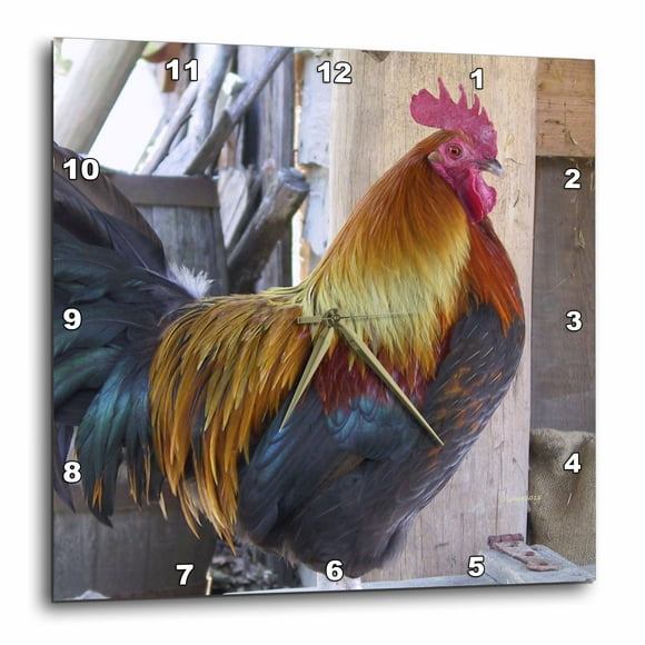 Rooster Wall Clocks