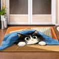 Cute Cartoon Cat Flannel Floor Mat, Non-Slip Rubber-Bottomed Carpet ...