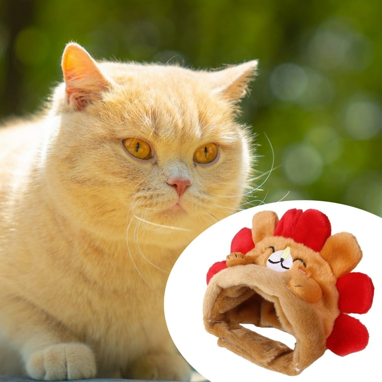 Cat Breading Costume