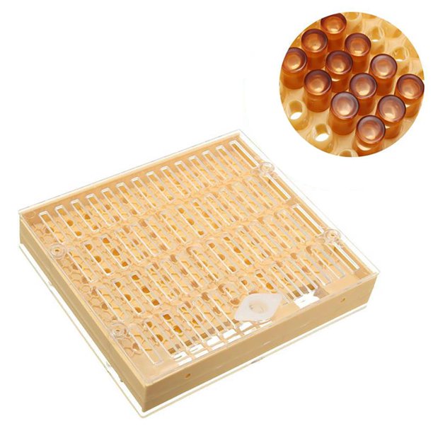 pitrice Bee Cultivating Box Kit Plastic Bee Queen Cage Queen Bee ...