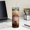 Chesapeake Bay Retriever Dog Puppy Photo 20oz Insulated Water Bottle ...