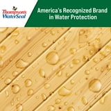 Thompson's WaterSeal Waterproofer Plus Wood Protector, Clear, 5 Gallon ...