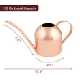 Homarden 30 oz. Copper Mini Watering Can - Walmart.com