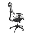 RESPAWN Specter Full Mesh Ergonomic Gaming Chair, in Graphite Gray (RSP ...
