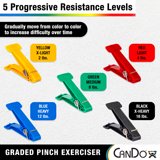 Graded Pinch Exerciser - Walmart.com