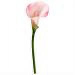 Allstate Club Pack of 24 Light Pink Calla Lily Artificial Floral Sprays ...
