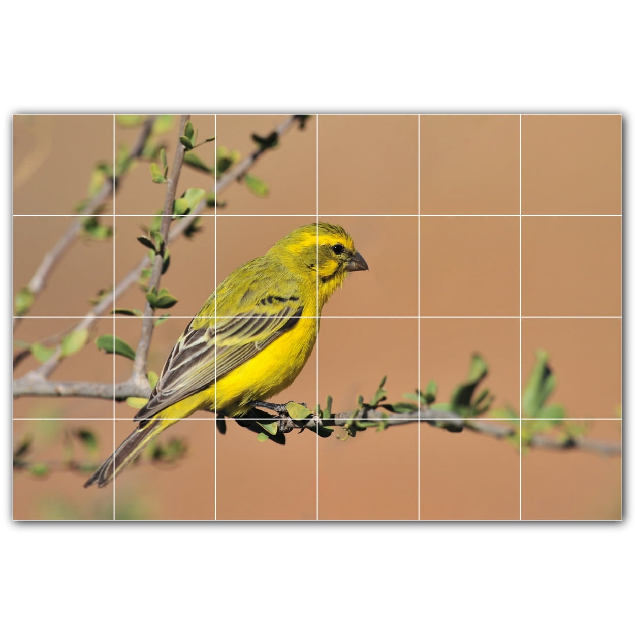 Picture-Tiles.com: Bird Ceramic Tile Wall Mural WAL500186-64L. 48"W x ...