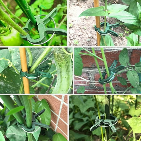 TB&W Fixed Clamp Eco-friendly Grafting Stakes Connector Clip for ...