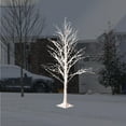 Windmax International 5 ft. Lighted Twinkle LED Tree with Fairy Lights ...